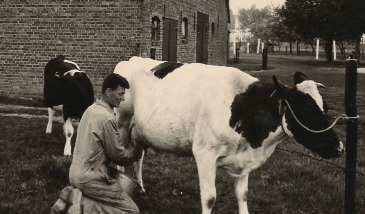 Our Story - Volleman's Family Farm